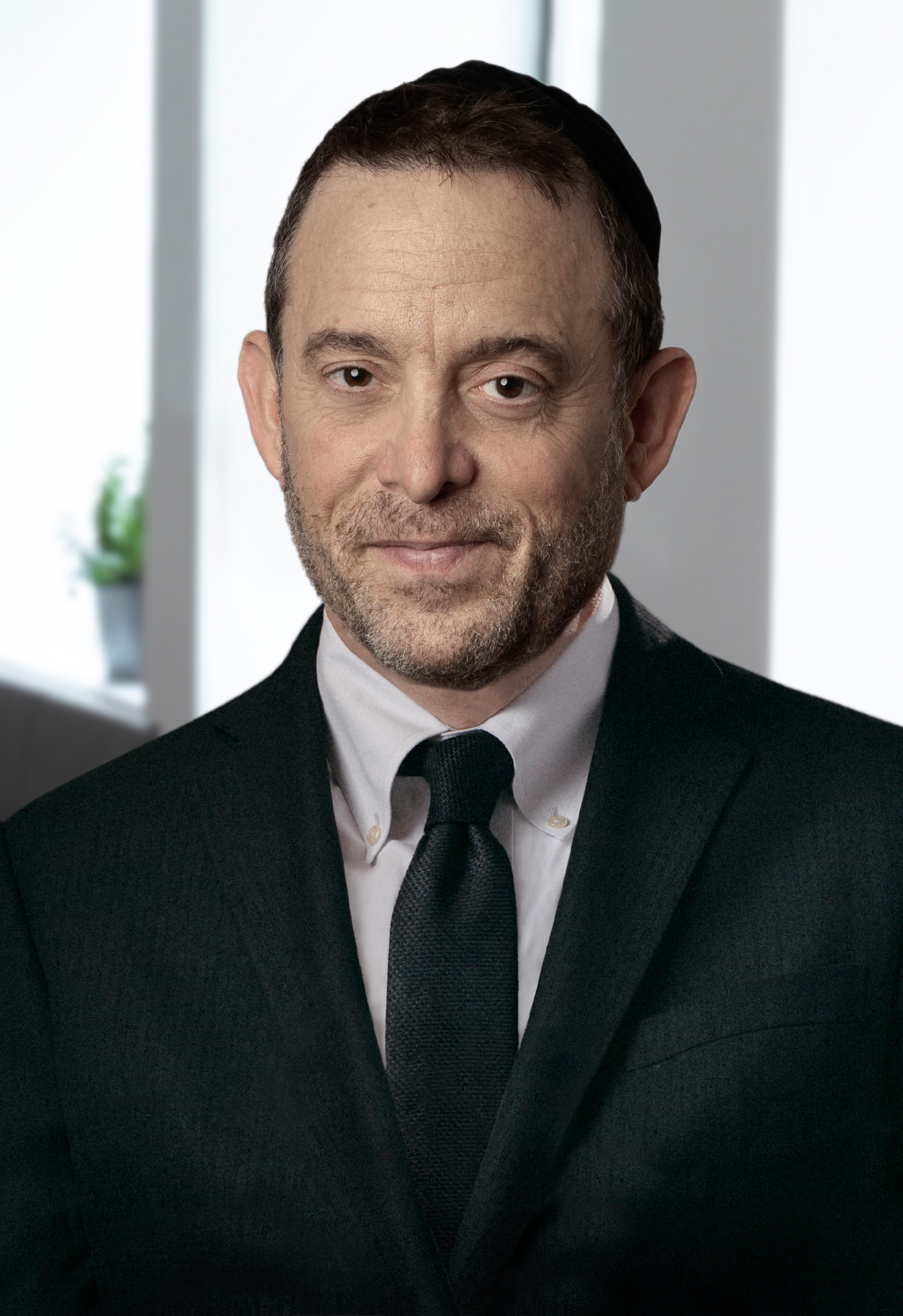 Lightstone | David Lichtenstein - Lightstone